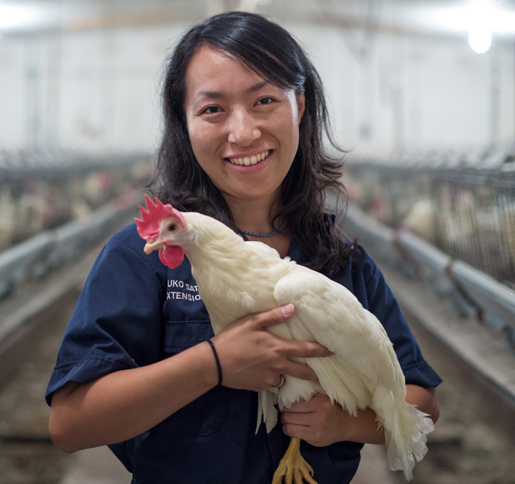 Protect Your Chickens from Cold-Weather Conditions - Backyard Poultry